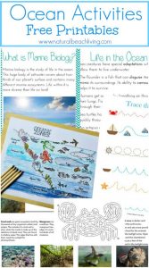 Download a Free Marine Biology/Ocean Unit Study Guide – Lesson Plans