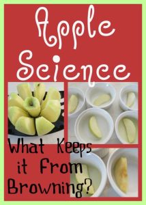 An Easy Apple Browning Science Experiment – Lesson Plans