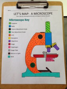 Science Activity – A Printable for Learning Parts of the Microscope ...