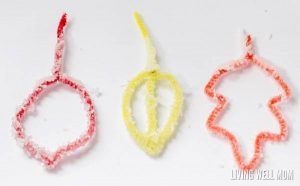 Make Salt Crystal Leaves to Celebrate Fall – Lesson Plans