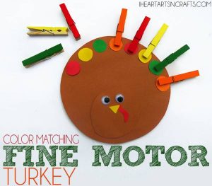 Color Matching Turkey – Lesson Plans