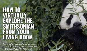 Check out the Smithsonian’s Virtual Tours – Lesson Plans