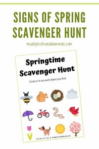 Signs of Spring Scavenger Hunt – Lesson Plans