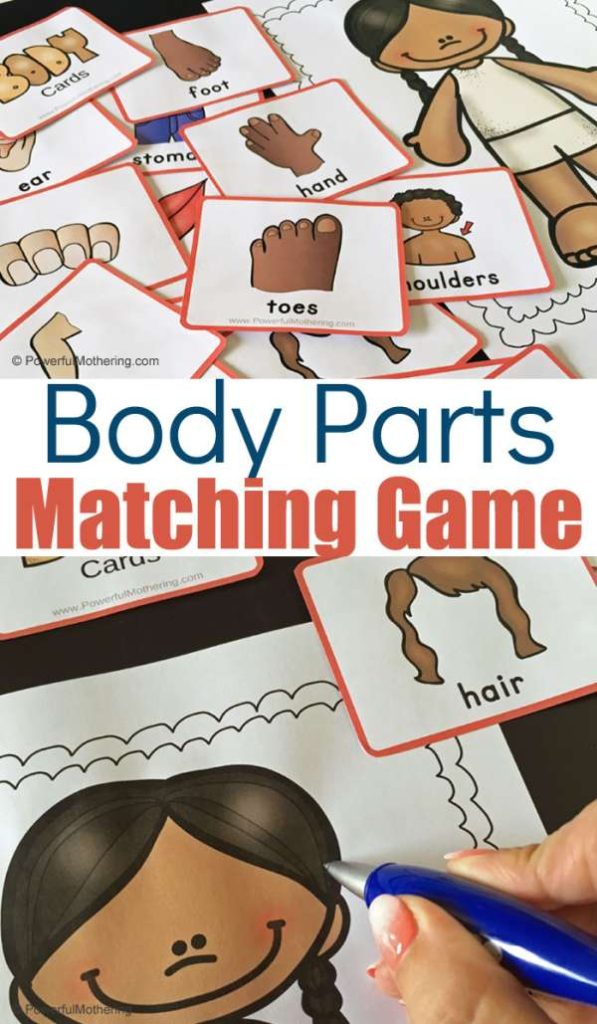 Printable Body Parts Matching Game – Fun and Educational Activity for ...