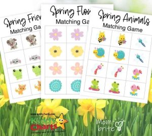 Printable Spring Memory Cards – Lesson Plans