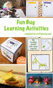 Fun Bug Learning Activities – Lesson Plans