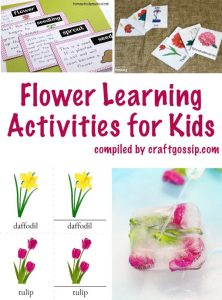 Spring Flower Activities for Kids – Lesson Plans