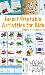 Printable Insect Activities for Kids – Lesson Plans