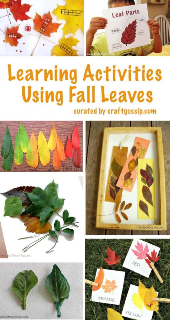 Leaf Activities for Kids – Lesson Plans