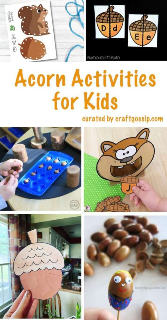 Acorn Learning Activities – Lesson Plans