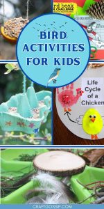 Bird Learning Activities for Kids – Lesson Plans