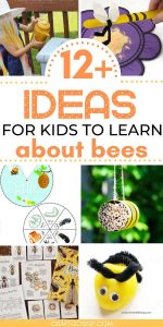 Learning about Bees for Kids – Lesson Plans