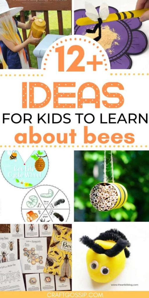 Learning about Bees for Kids – Lesson Plans