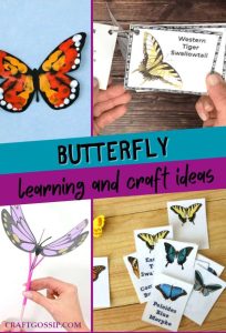 Butterfly Learning Activities and Crafts – Lesson Plans