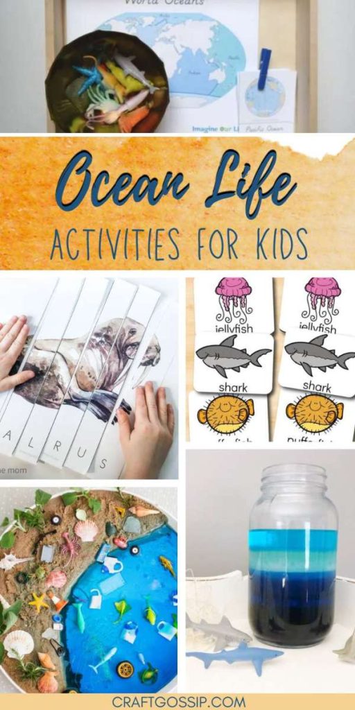 Ocean Unit Studies and Activities – Lesson Plans