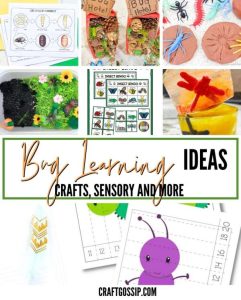 Playing with and Learning about Bugs – Lesson Plans
