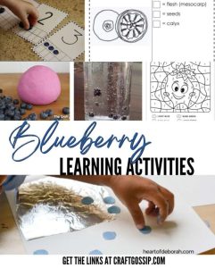 Blueberry Learning Activities – Lesson Plans