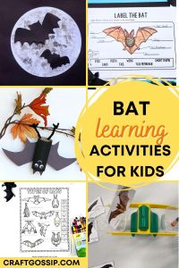 Bat Learning Activitites – Lesson Plans
