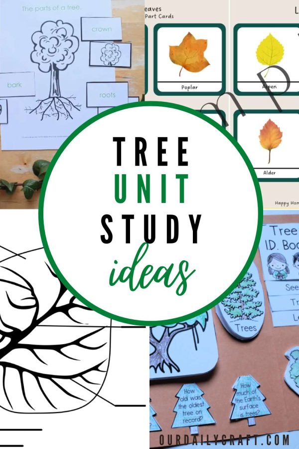 Crafts, Patterns, DIY and How-To Ideas from CraftGossip – Page 3