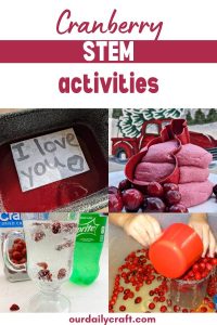 STEM Activities Using Cranberries – Lesson Plans