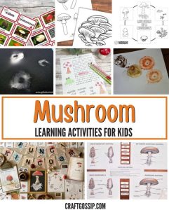 Learning about Mushrooms for Kids – Lesson Plans