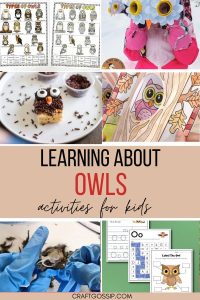 Owl Learning Activities for Kids – Lesson Plans