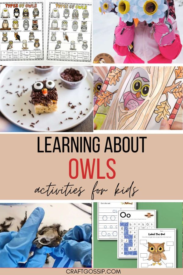Owl Learning Activities for Kids – Lesson Plans