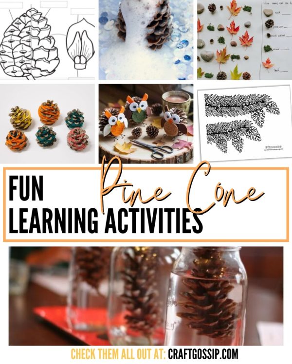 Pinecone Learning Activities for Kids – Lesson Plans