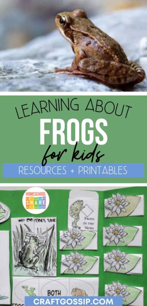 Learning about Frogs for Kids – Lesson Plans